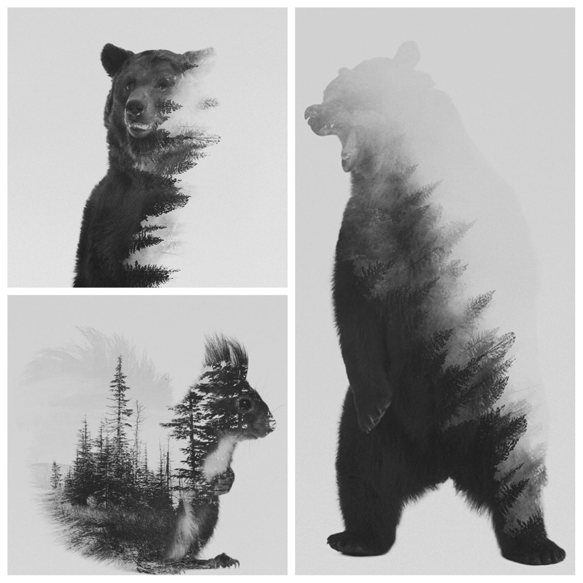 Andreas Lie – Desconocida Entropía